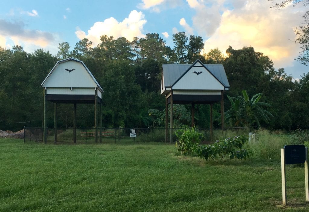 The World S Largest Bat House Distinctly Southern Style
