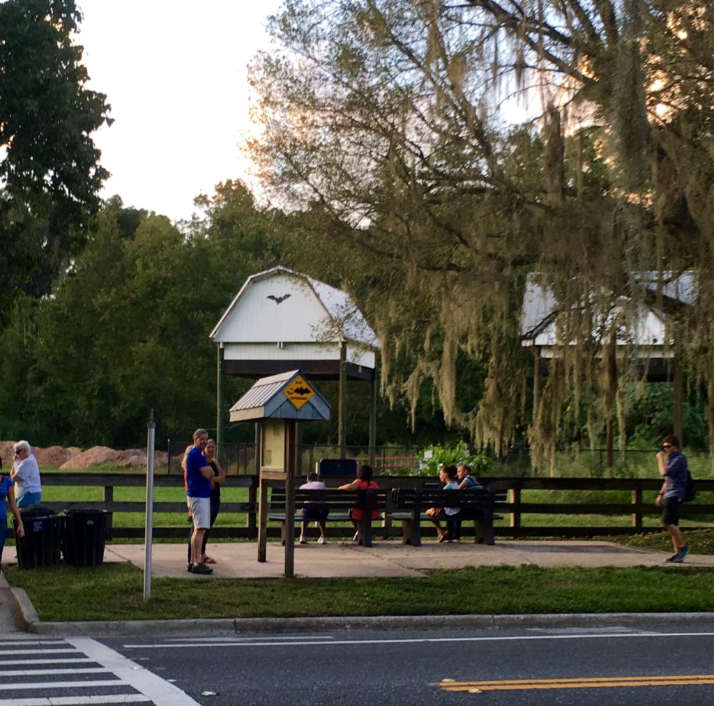 The World S Largest Bat House Distinctly Southern Style
