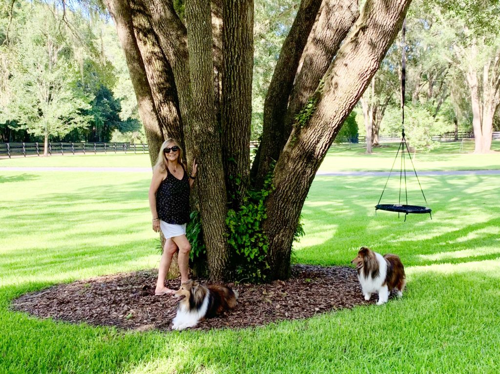 Simply Sunday: Back To Routine - Distinctly Southern Style