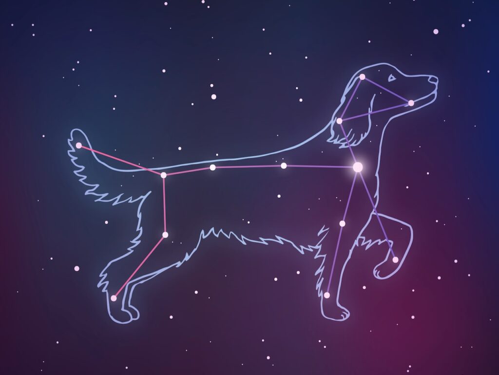 Dog Days of Summer In Florida - Distinctly Southern Style